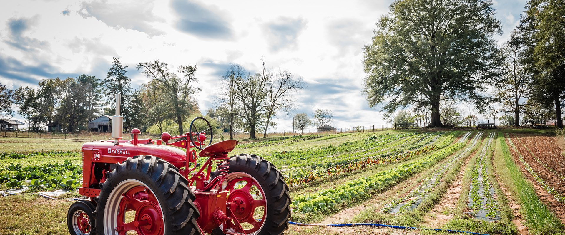 Agribusiness, Pesticide, Company Licensing Renewals | Kelly